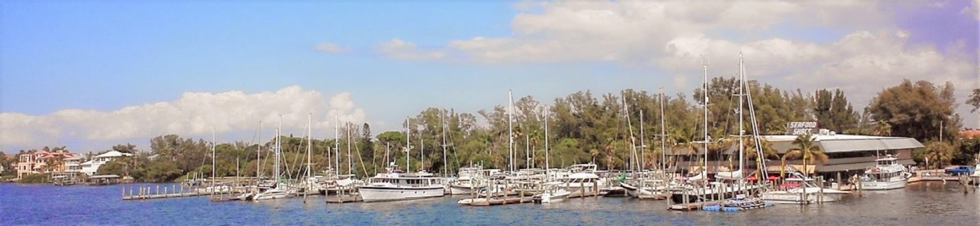 Azure Tide School – Your Life! Your Career! Accomplish your goals!